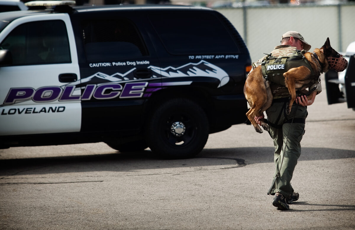 Officers participate in SWAT dog school | News, Sports, Jobs - Daily Herald